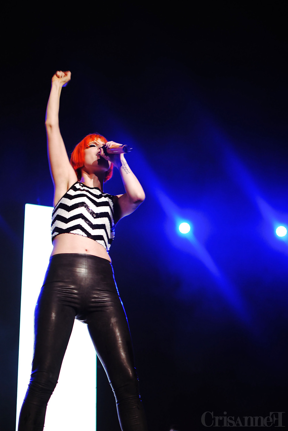 Madison Square Garden
